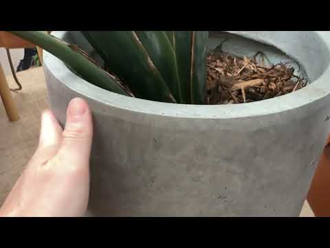 Pots for large plants / Bird of Paradise indoor large cement pot / Amazon indoor plant pot reviews