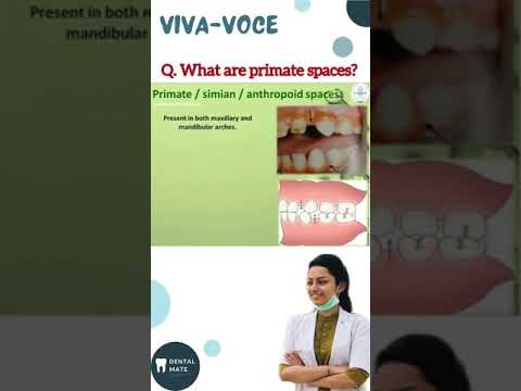 Primate spaces | Simian spaces | Anthropoid spaces | Orthodontics | Viva-voce