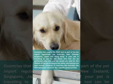 Importance of Rabies Titer Test