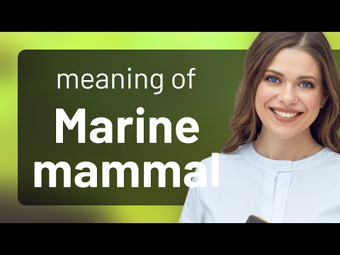Understanding "Marine Mammals": A Guide for English Learners