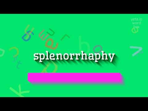 SPLENORRHAPHY - How to pronounce it?