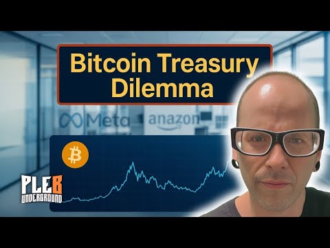 Public Companies Not Really Buying the Bitcoin Treasury Story .... Yet?