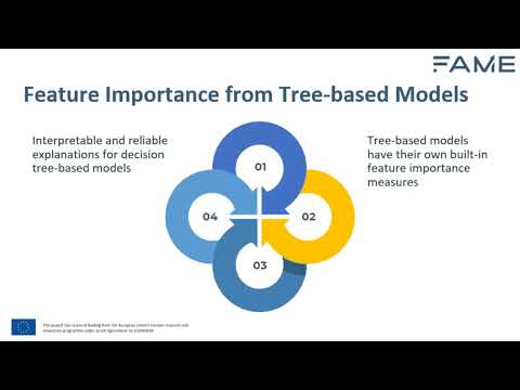 3.1 Introduction to model-agnostic explainability techniques