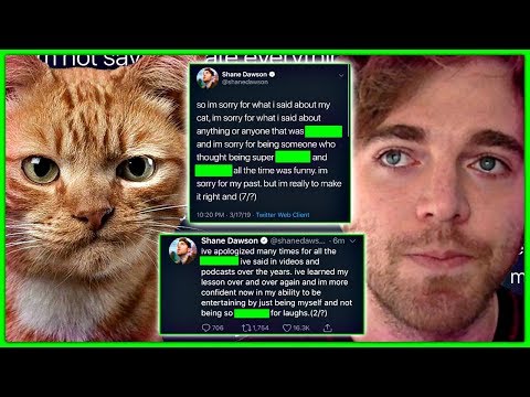 Shane Dawson RESPONDS To Cat DRAMA!