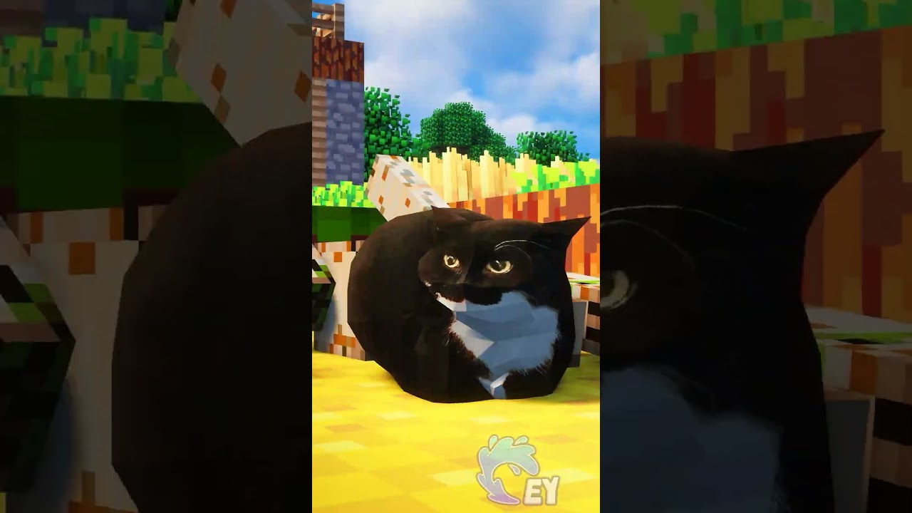 Happy Cat Dance in Minecraft…