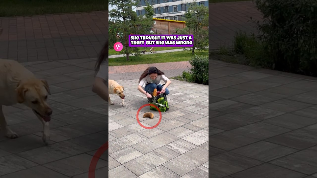 Heartwarming 🥰 Moment: Dog Steals Bread to Help Homeless Girl #kindness #dogstory
