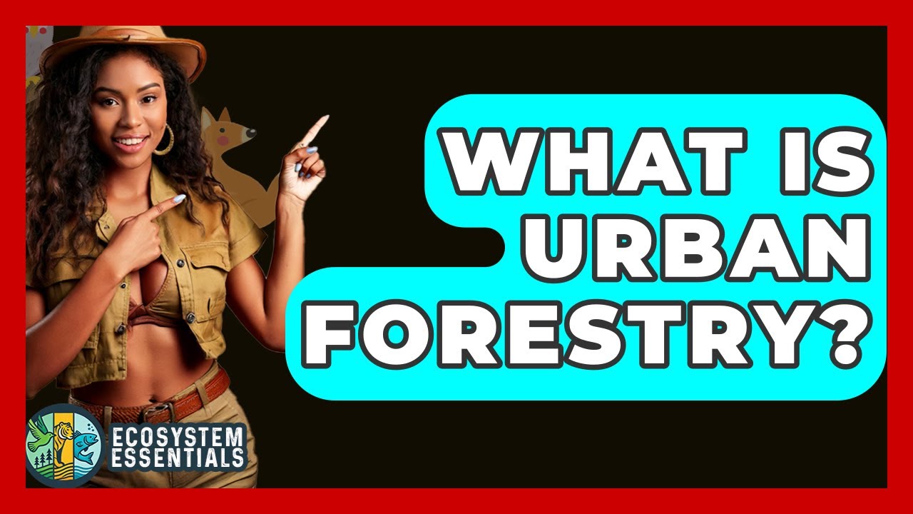 What Is Urban Forestry? - Ecosystem Essentials