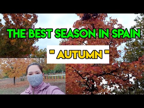 AUTUMN SEASON IN MADRID SPAIN | THE BEST SEASON IN SPAIN