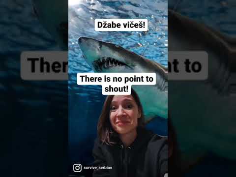 LEARN SERBIAN - DŽABE/DŽABA #shorts