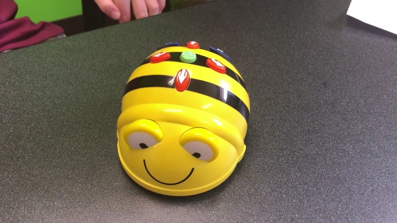BeeBot Intro