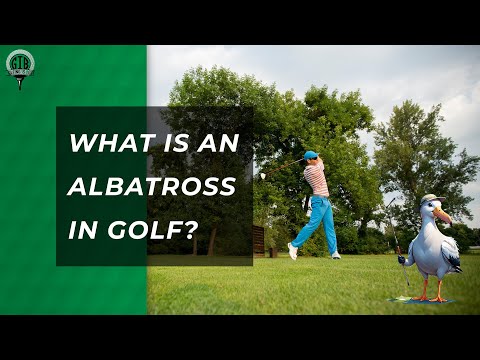 What is an Albatross in Golf? | Rarest Feat in Golf