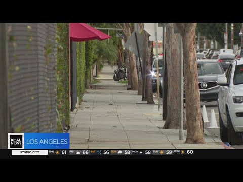 One of Venice's largest, oldest tent encampments cleared