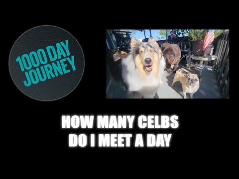 1000 Day Journey 0710 How Many Celbs do I meet a day?