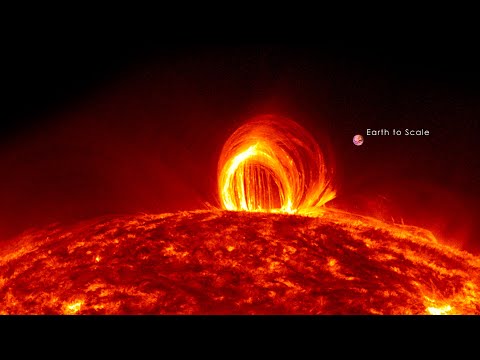 Our Local Star: the Sun's Vital Stats