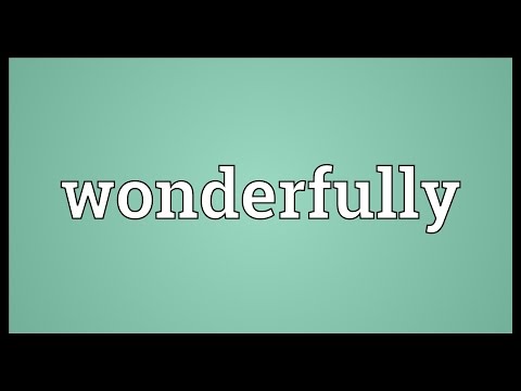 Wonderfully Meaning