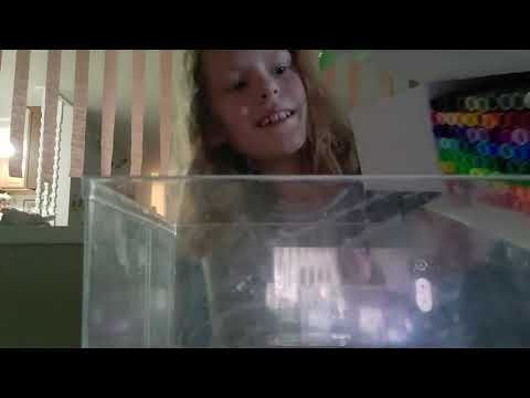 Unboxing and reviewing crayola marker 100 pack