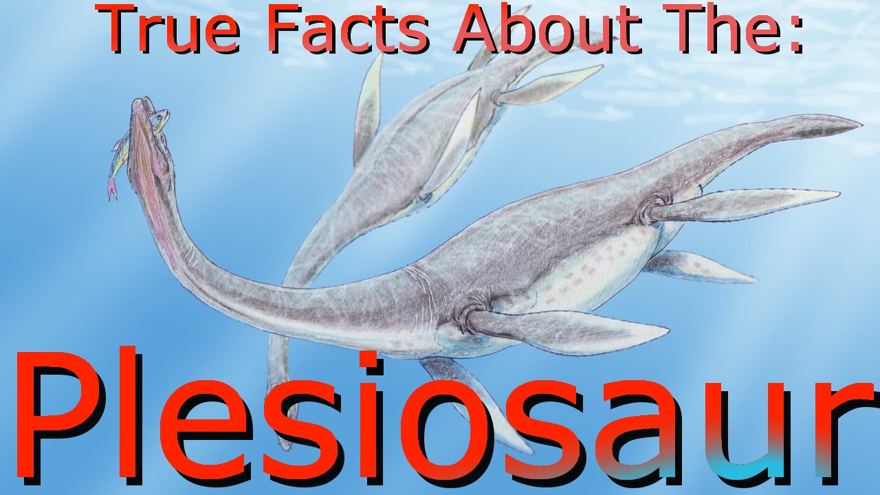 True facts About The: Plesiosaur