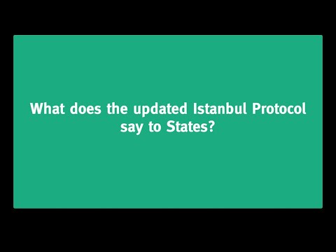 Istanbul Protocol Update: What Does the Updated Istanbul Protocol Say to States?