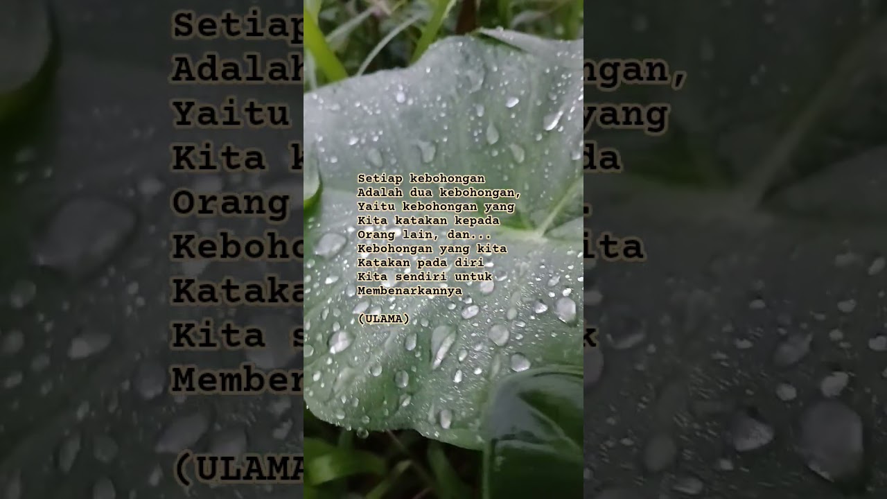 Quote Harian, Renungan Hari ini#quotes  #quoteoftheday #coversong #shorts #trending
