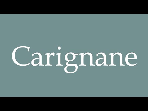 How to Pronounce ''Carignane'' Correctly in French