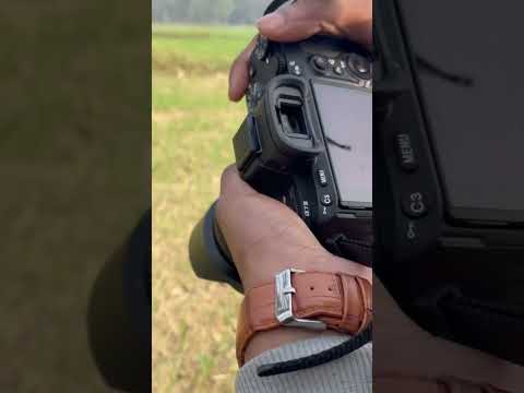 Sony alpha 7iii???? model photo shoot ???? #camera #sony #vikasakela