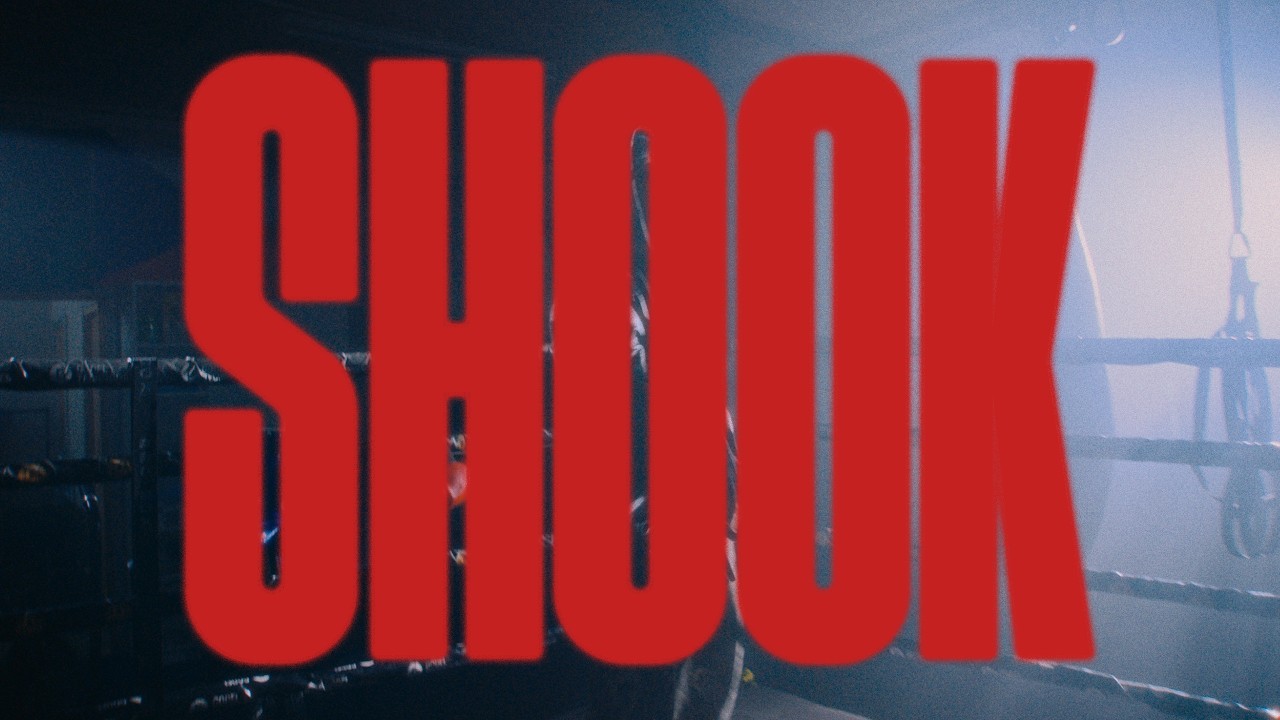 H33RA - SHOOK