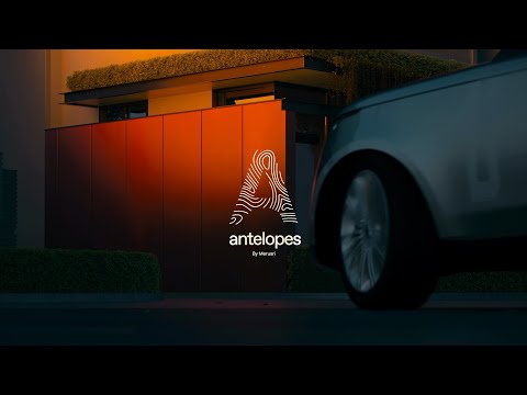 Antelopes By Merusri