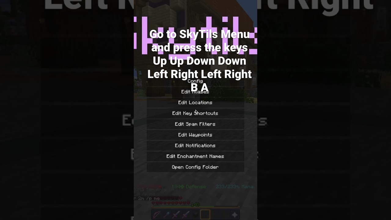 Hypixel SkyBlock - SkyTils Tiny Player