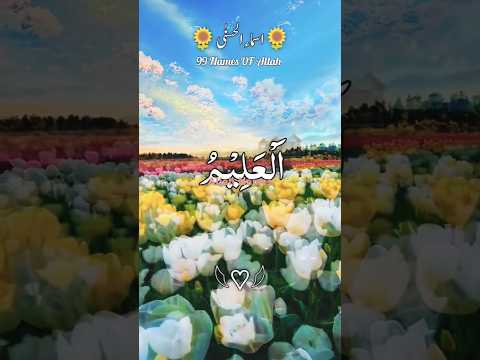 Allah names. #allahnames #ytshorts #ytvideo #names #viralshort