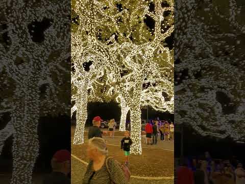 20211229 Pedernales Electric Coop Holiday Lights Johnson City, TX