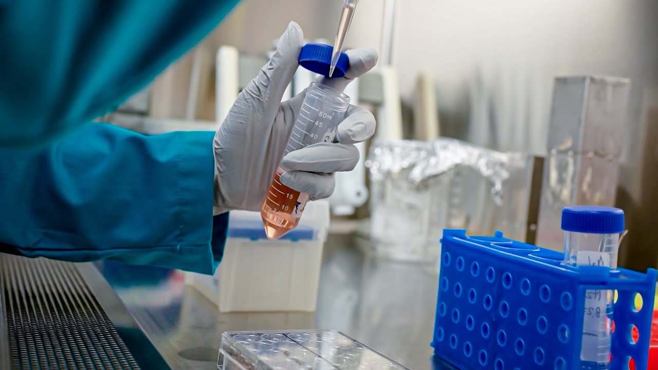 Identifying Molecular Processes Underlying Alcohol Use Disorder