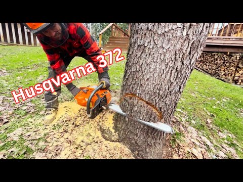 The perfect pusher tree