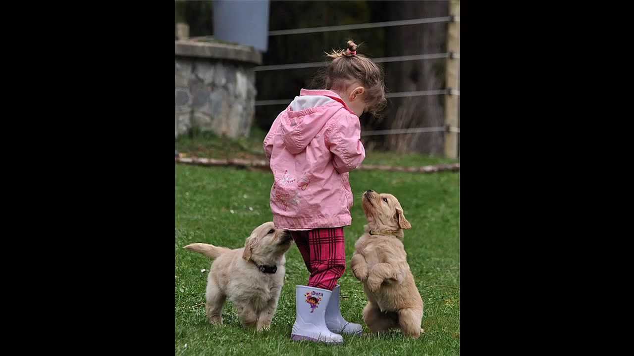 What Responsible Breeders Really Do