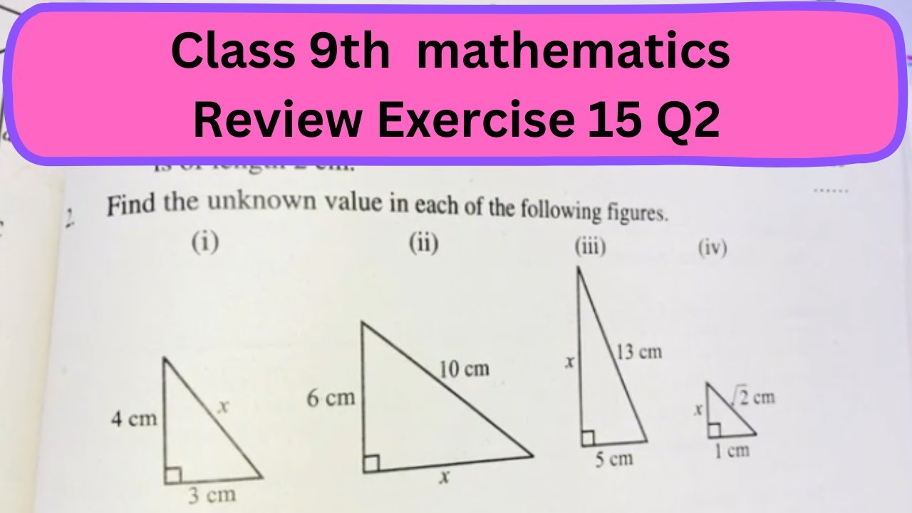 Class 9th maths Review Exercise Chapter 15 | 9th maths