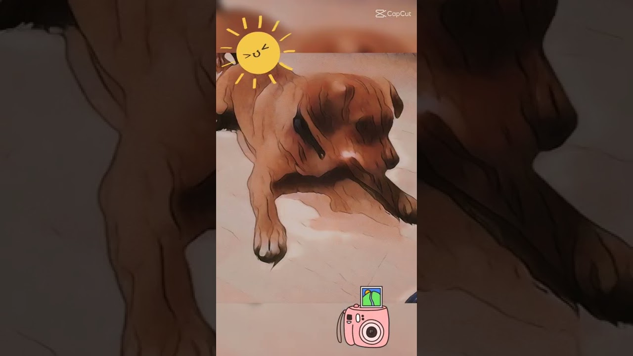 Untitled video