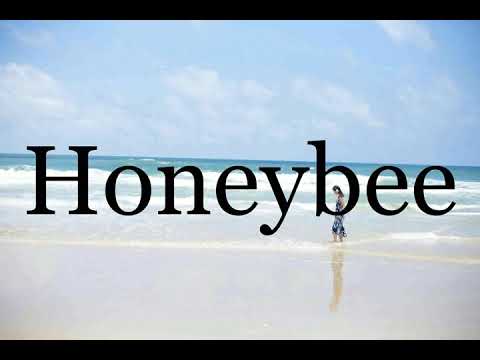 How To Pronounce Honeybee🌈🌈🌈🌈🌈🌈Pronunciation Of Honeybee
