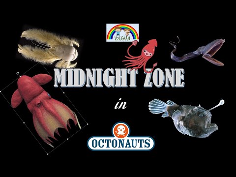 The MIDNIGHT ZONE in Octonauts | Colossal Squid | Vampire Squid | Angler Fish | Gulper eel and more