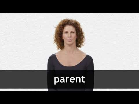 PARENT definition and meaning | Collins English Dictionary