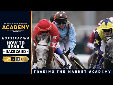 How To Read A Race Card