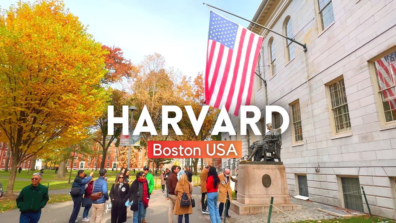 The Best Harvard University Campus Tour - EssayTalks