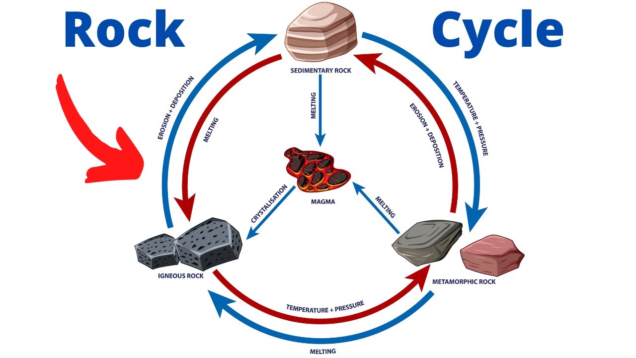 Rock Cycle Diagram  - Study Course Edition