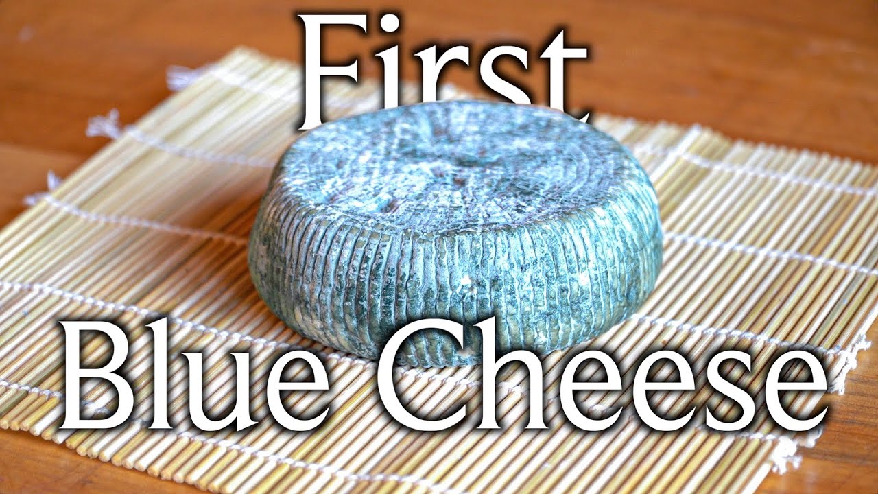 Bringing Back Natural Cheese – Our First Attempt At Making Blue Cheese
