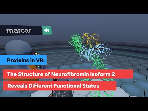 Proteins in VR: The Structure of Neurofibromin Isoform 2 Reveals Different Functional States