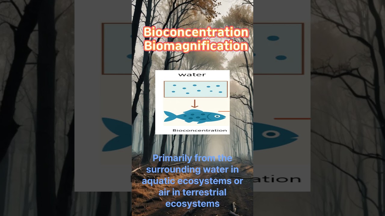 #bioconcentration #biomagnification #bioaccumulation #BCF #BAF