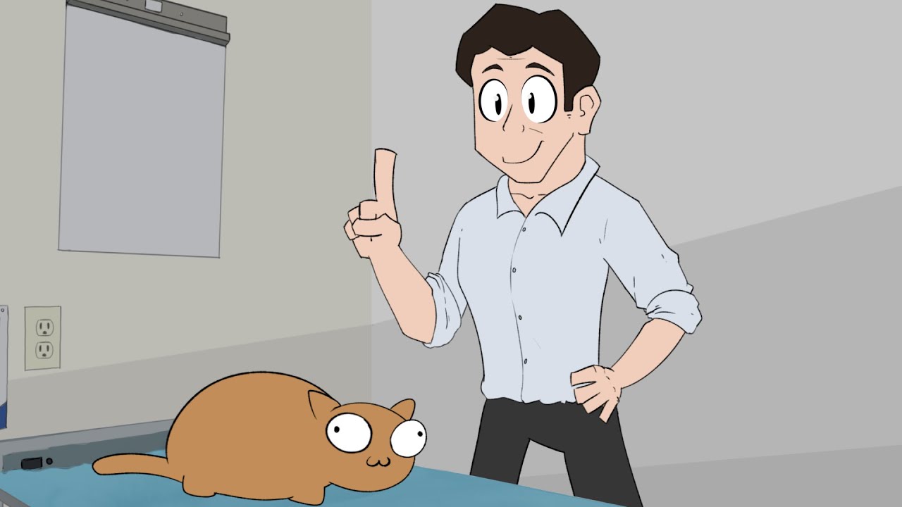 SQUISH THAT CAT - ANIMATED