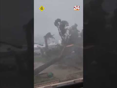 Jeziv snimak iz regiona: ''Ovo je horor'' | Herceg Televizija Trebinje