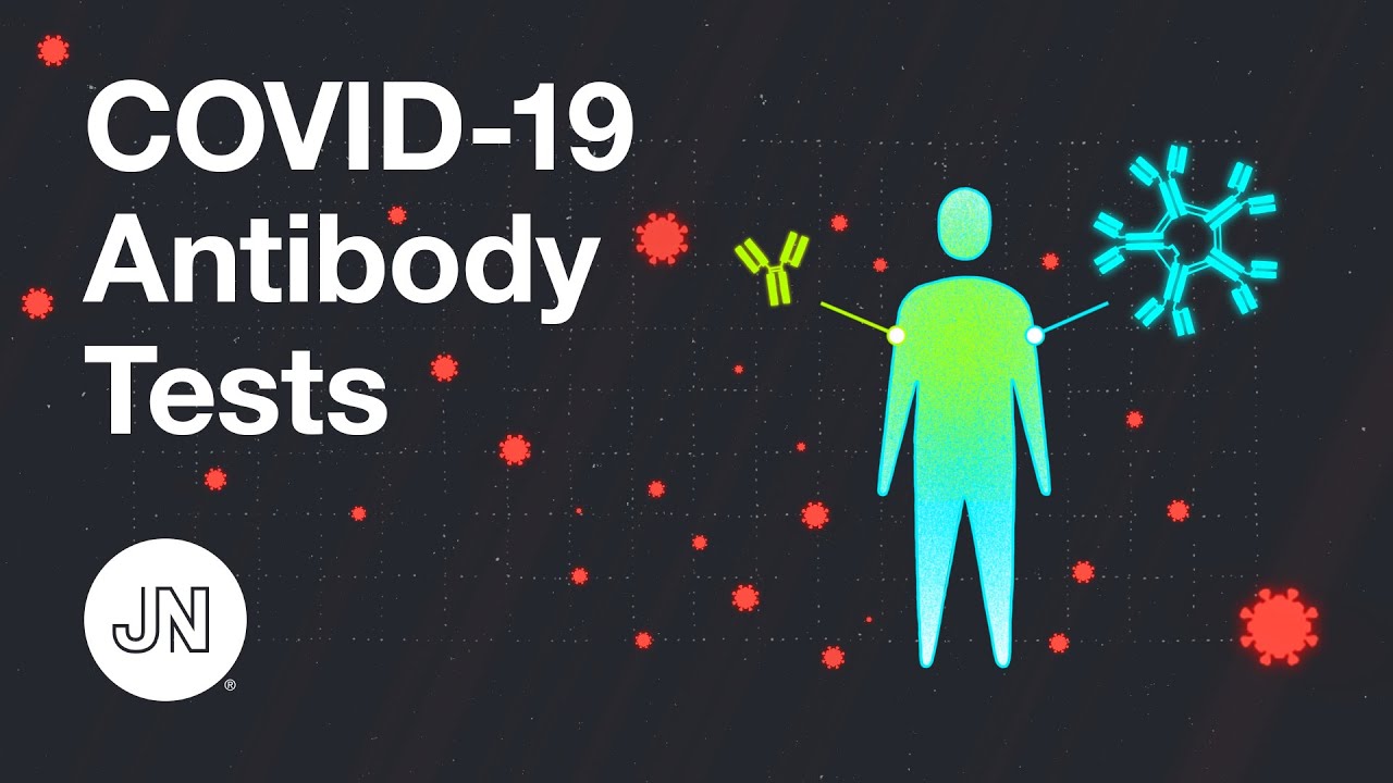 Coronavirus Antibody Tests—What They Tell Us