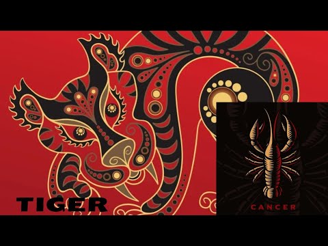 CANCER - TIGER