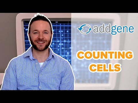 Counting Cells