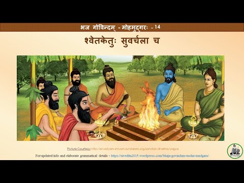 (Video) #14 – Shankaraachaarya’s Bhaja Govindam – Smt. Vidhya Ramesh ...